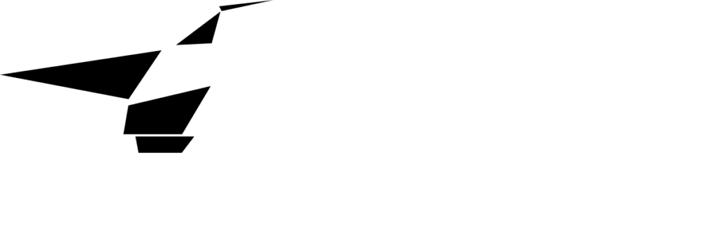 Stadiile dezvoltării inteligenţei (Jean Piaget) - EVOMIND.ORG